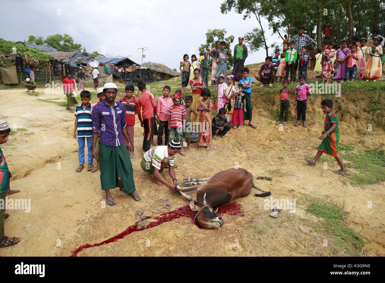 September 2, 2017 - Ukhiya, Cox's Bazar, Bangladesh - Myanmar's ethnic ...