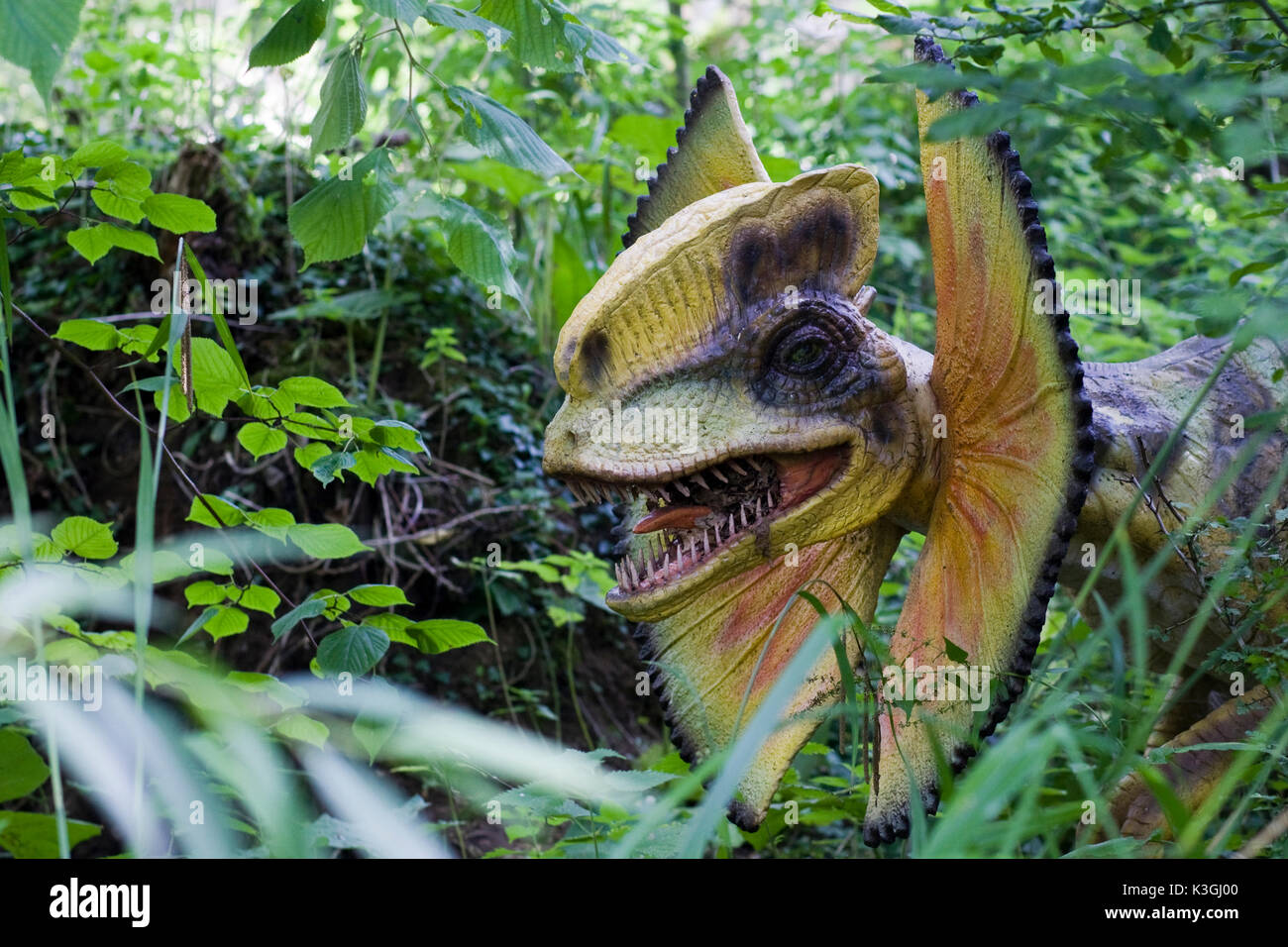 Dilophosaurus dinosaurs hi-res stock photography and images - Alamy