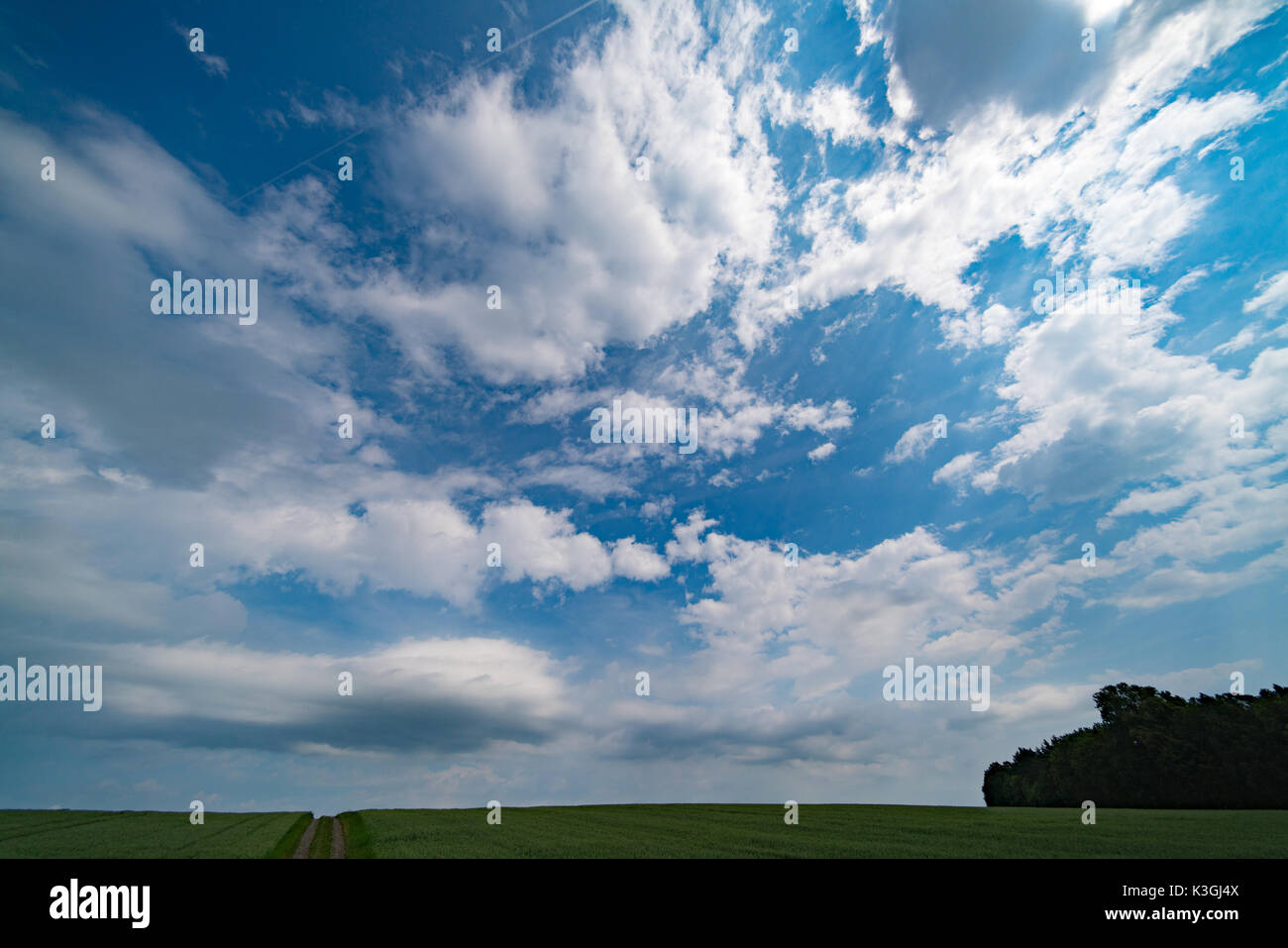 Green field and clear cloudy sky Stock Photo - Alamy