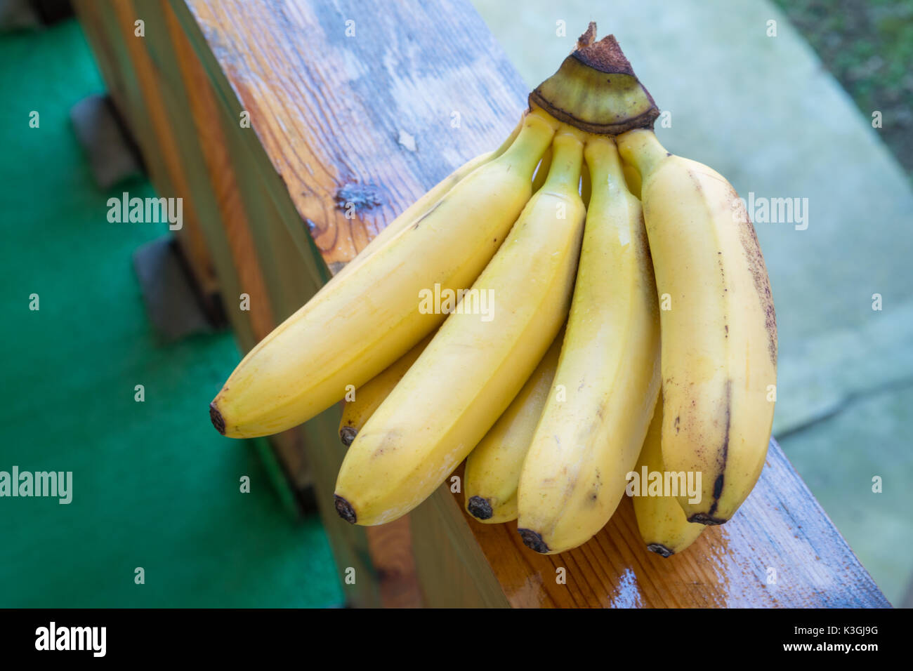 Mini bananas in the courtyard of the village house Stock Photo - Alamy