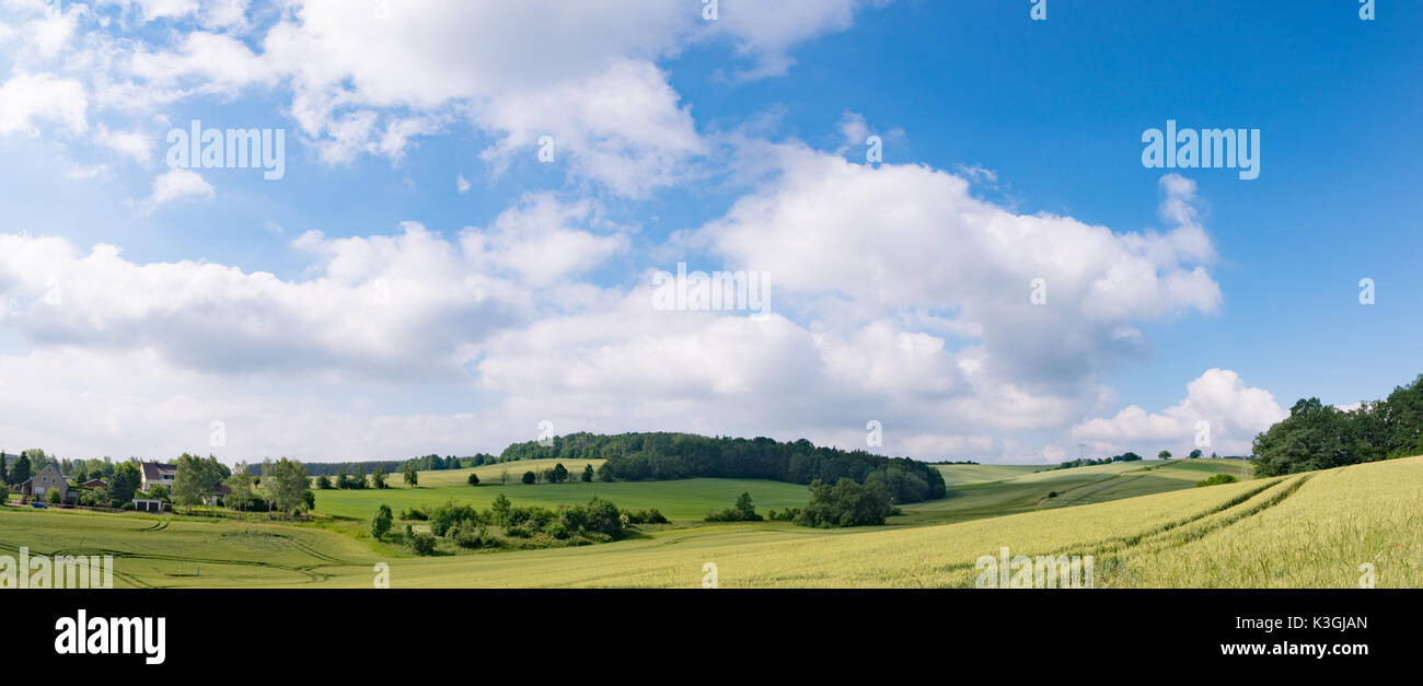Green field and clear cloudy sky panorama Stock Photo - Alamy