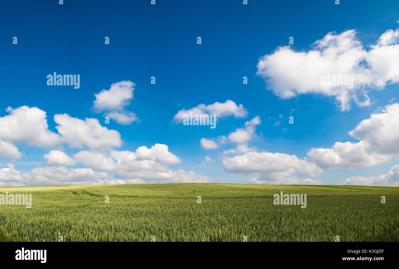 Green field and clear cloudy sky Stock Photo - Alamy