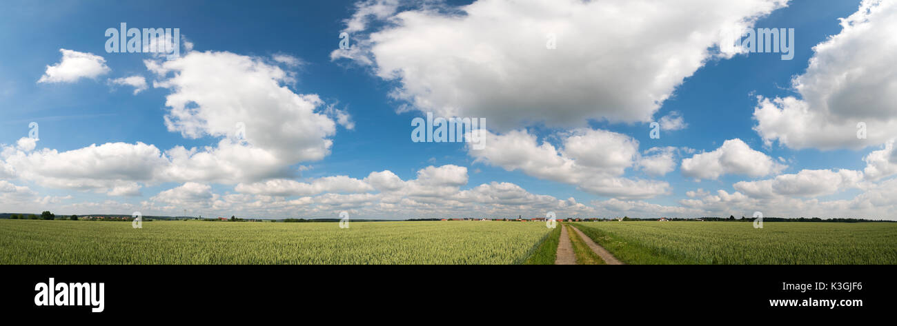 Green field and clear cloudy sky panorama Stock Photo - Alamy