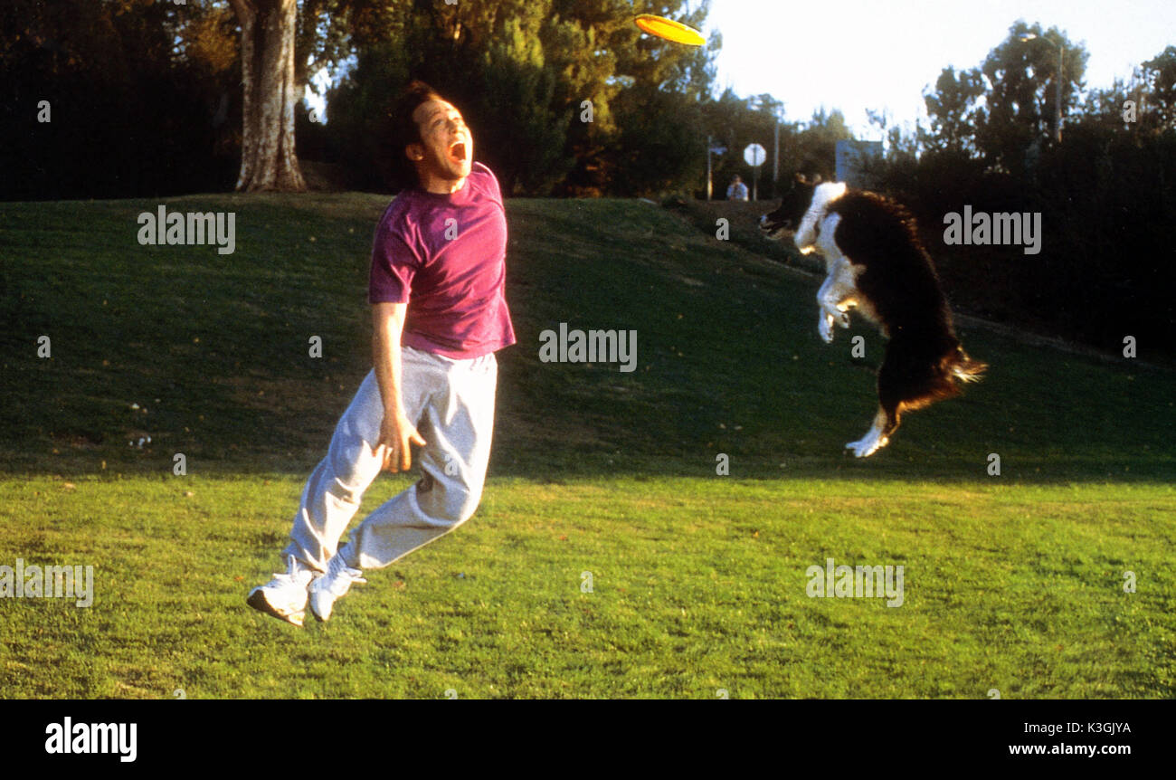 Rob schneider animal 2001 hi-res stock photography and images - Alamy