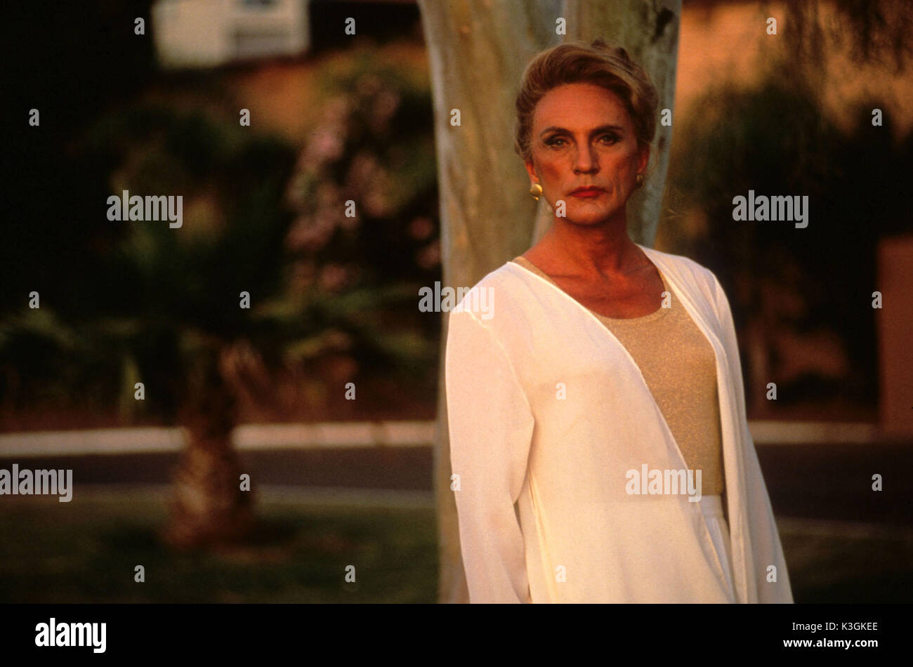 THE ADVENTURES OF PRISCILLA, QUEEN OF THE DESERT TERENCE STAMP Date ...