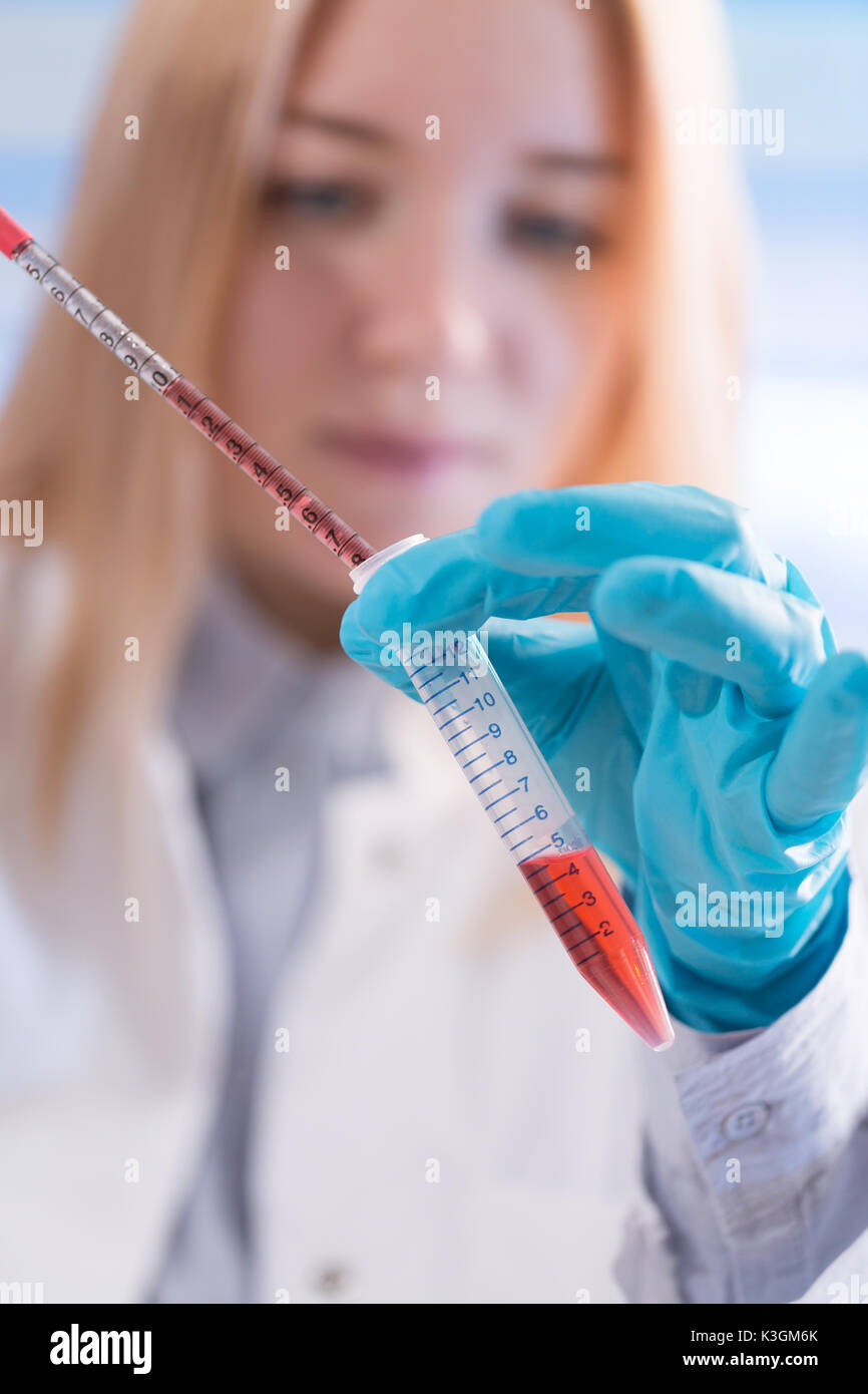 Laboratory assistant in the medical laboratory control a ...