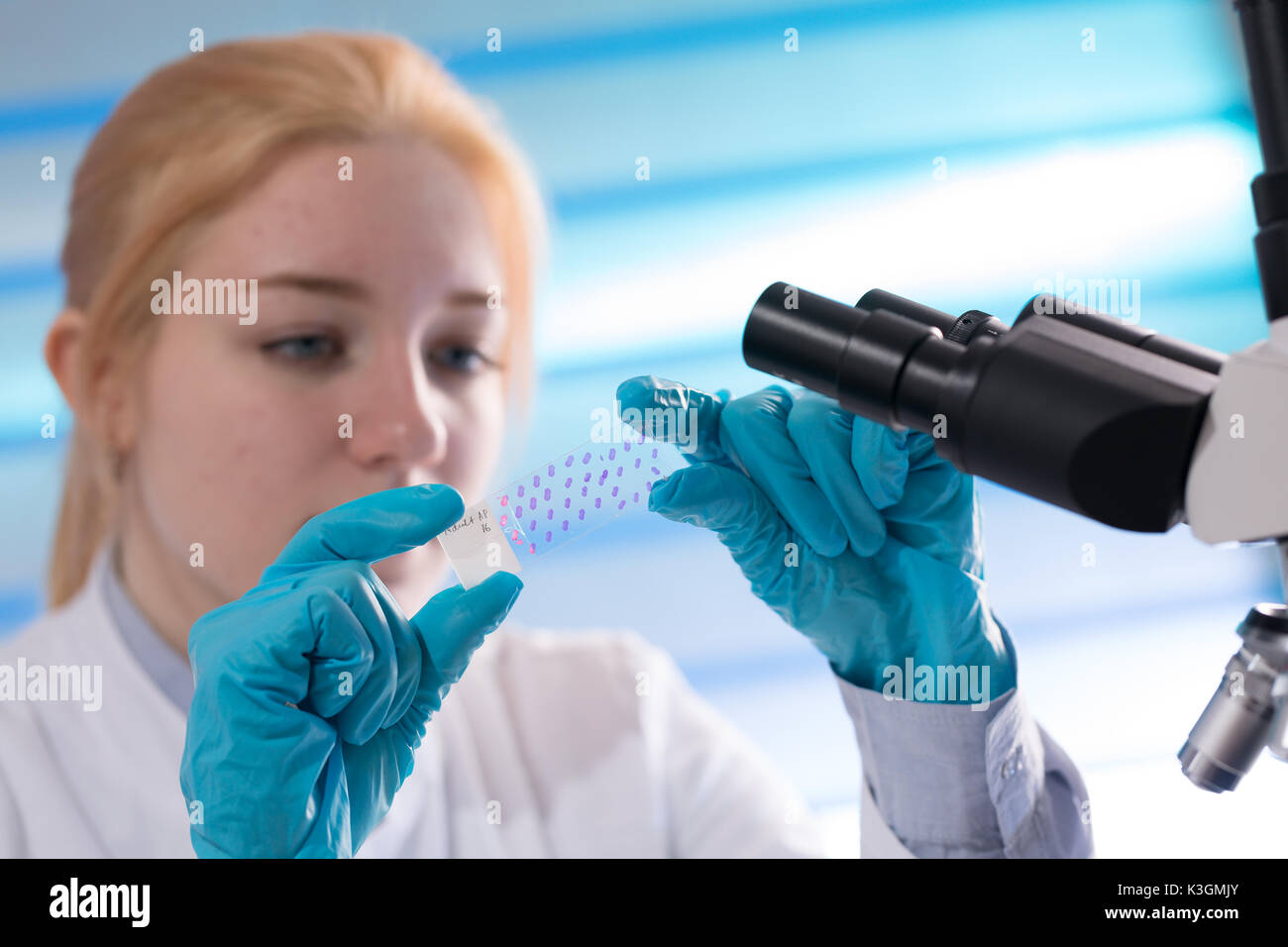 Researcher looking through a microscope hi-res stock photography and images - Alamy