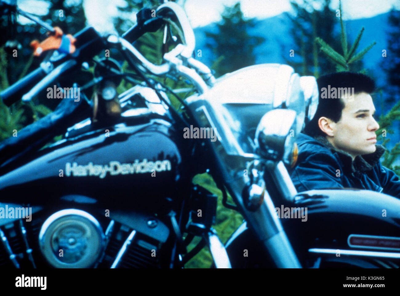 James Hurley Twin Peaks