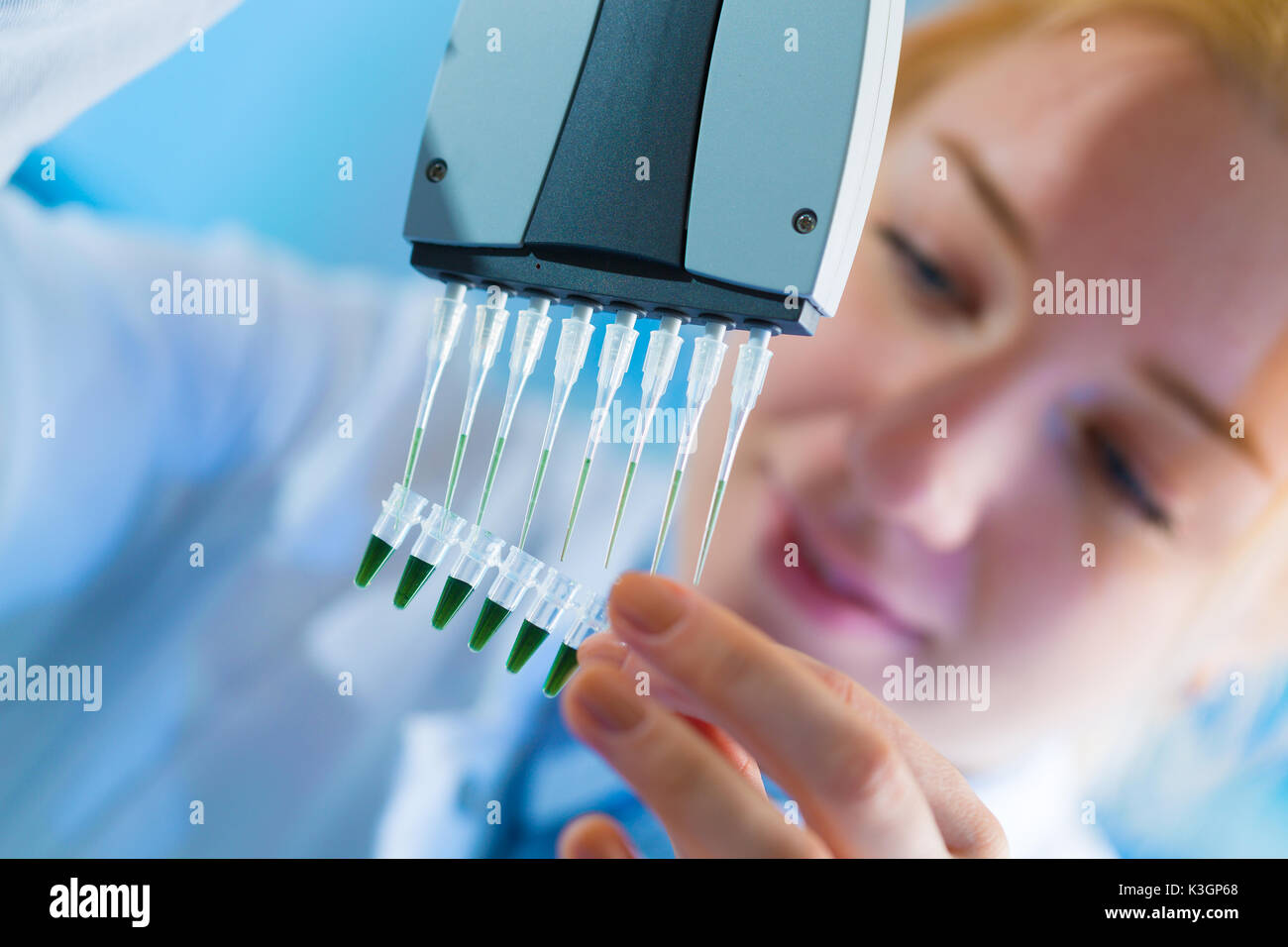 using a multi channel pipette for pcr processing in microbiological ...