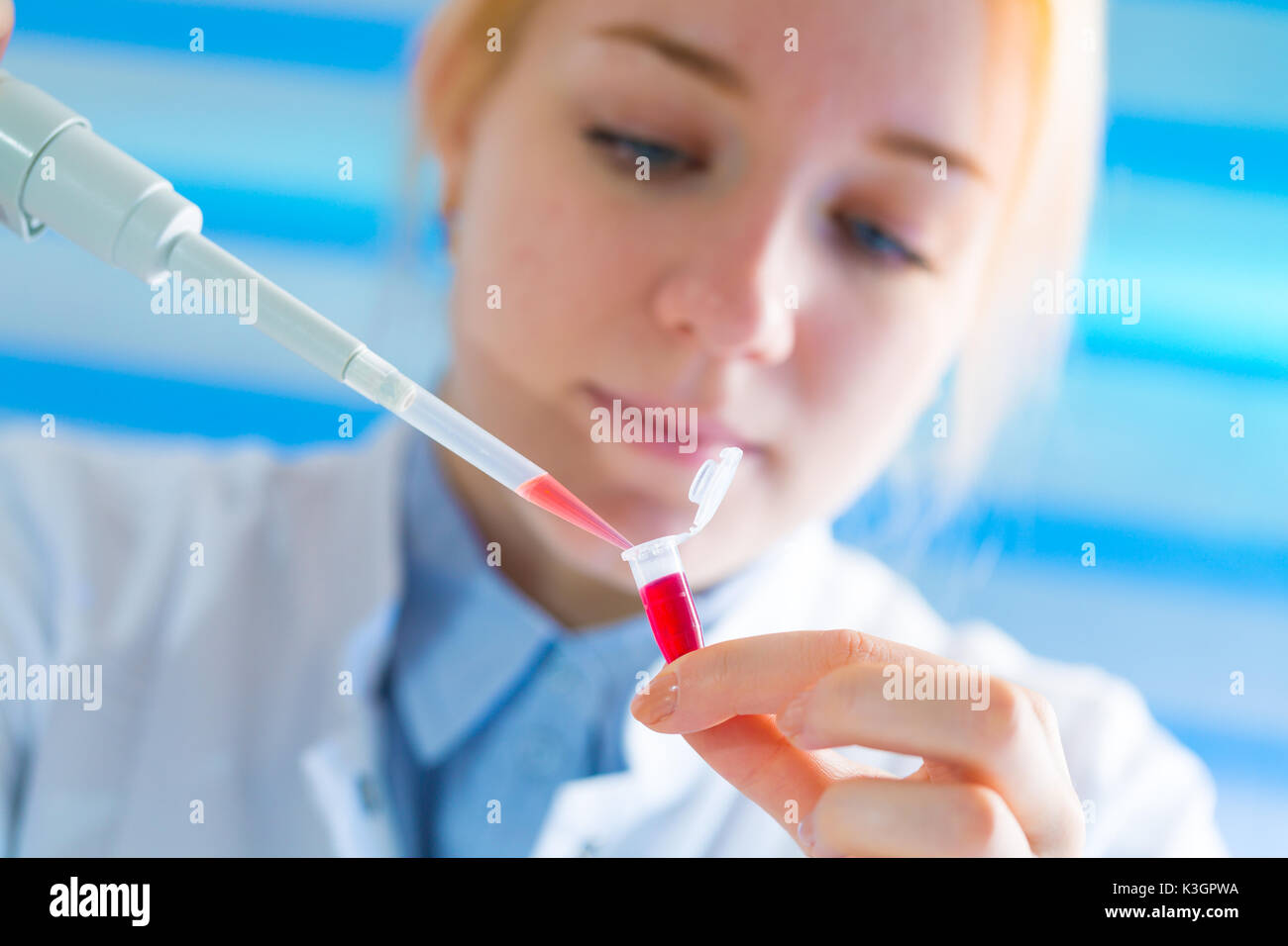 Laboratory assistant in the medical laboratory control a ...