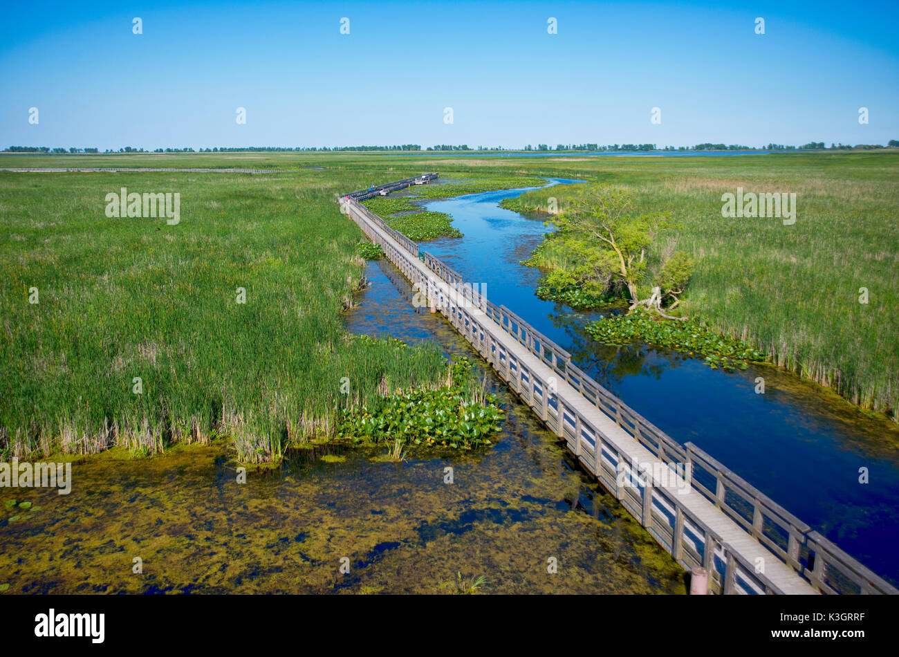 View of the boardwalk along Point Pelee provincial park during the ...