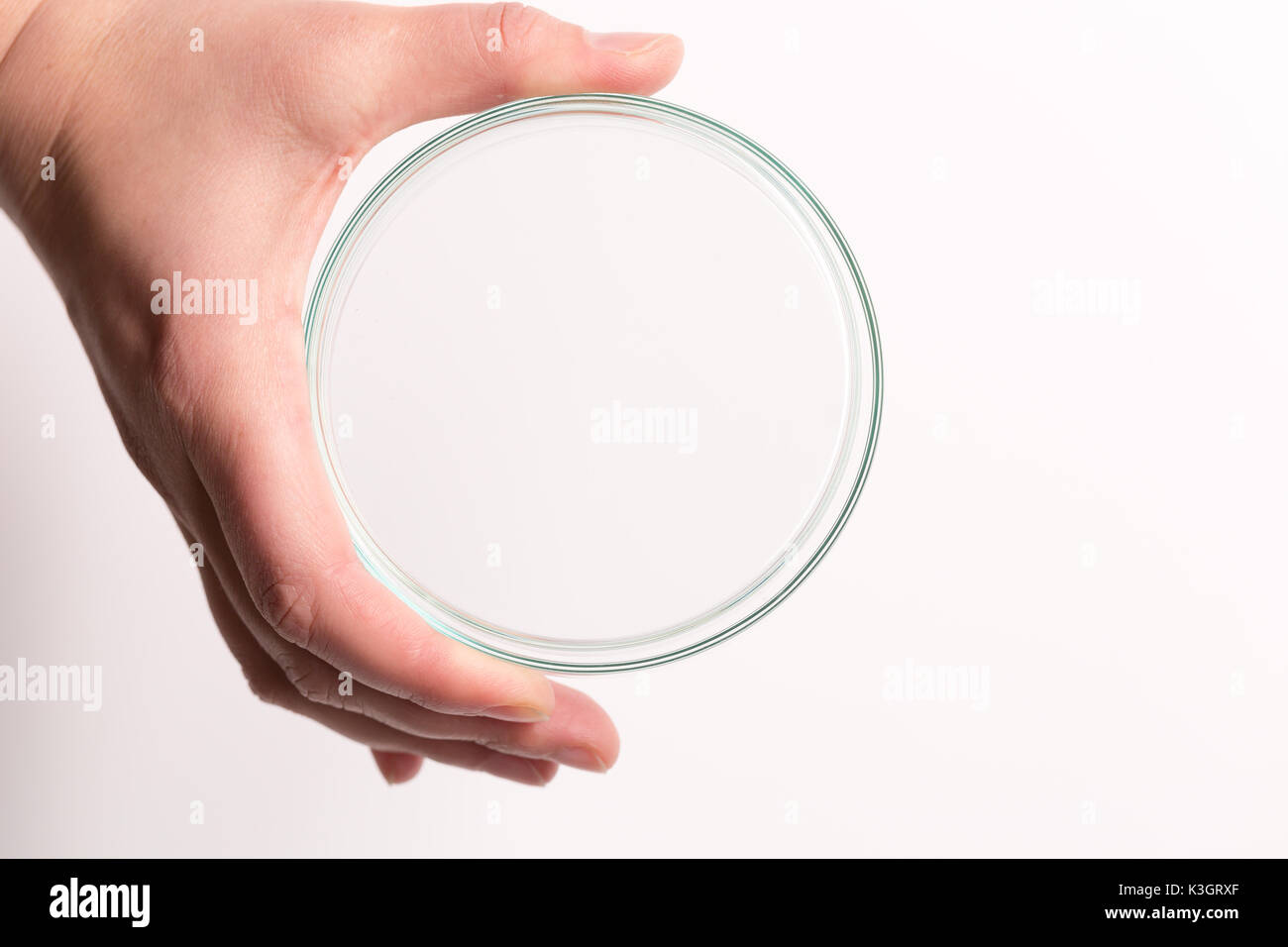 Empty petri dish for growing cultures of microorganisms in doctor hand ...