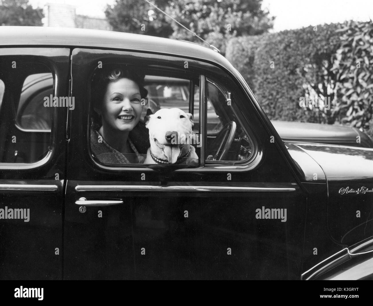 Elizabeth allan hi-res stock photography and images - Alamy