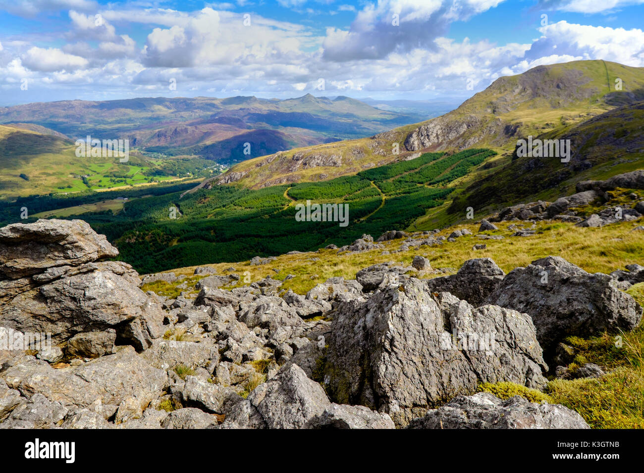 Beddgelert Forest and Moel Hebog in Snowdonia, North Wales, UK Stock ...