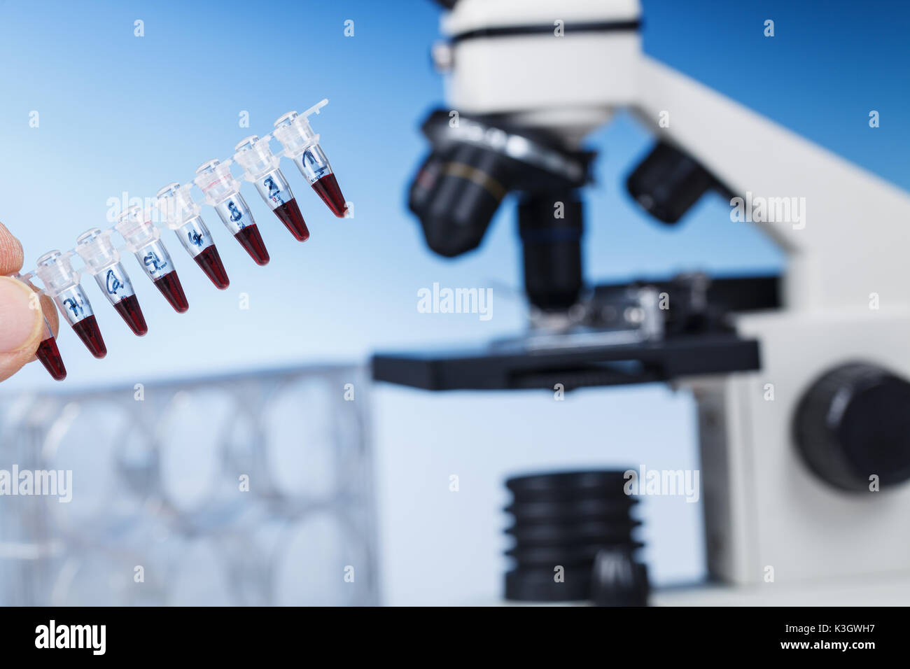 Microscope Subject Table and Biological Samples. Microscope is the main ...