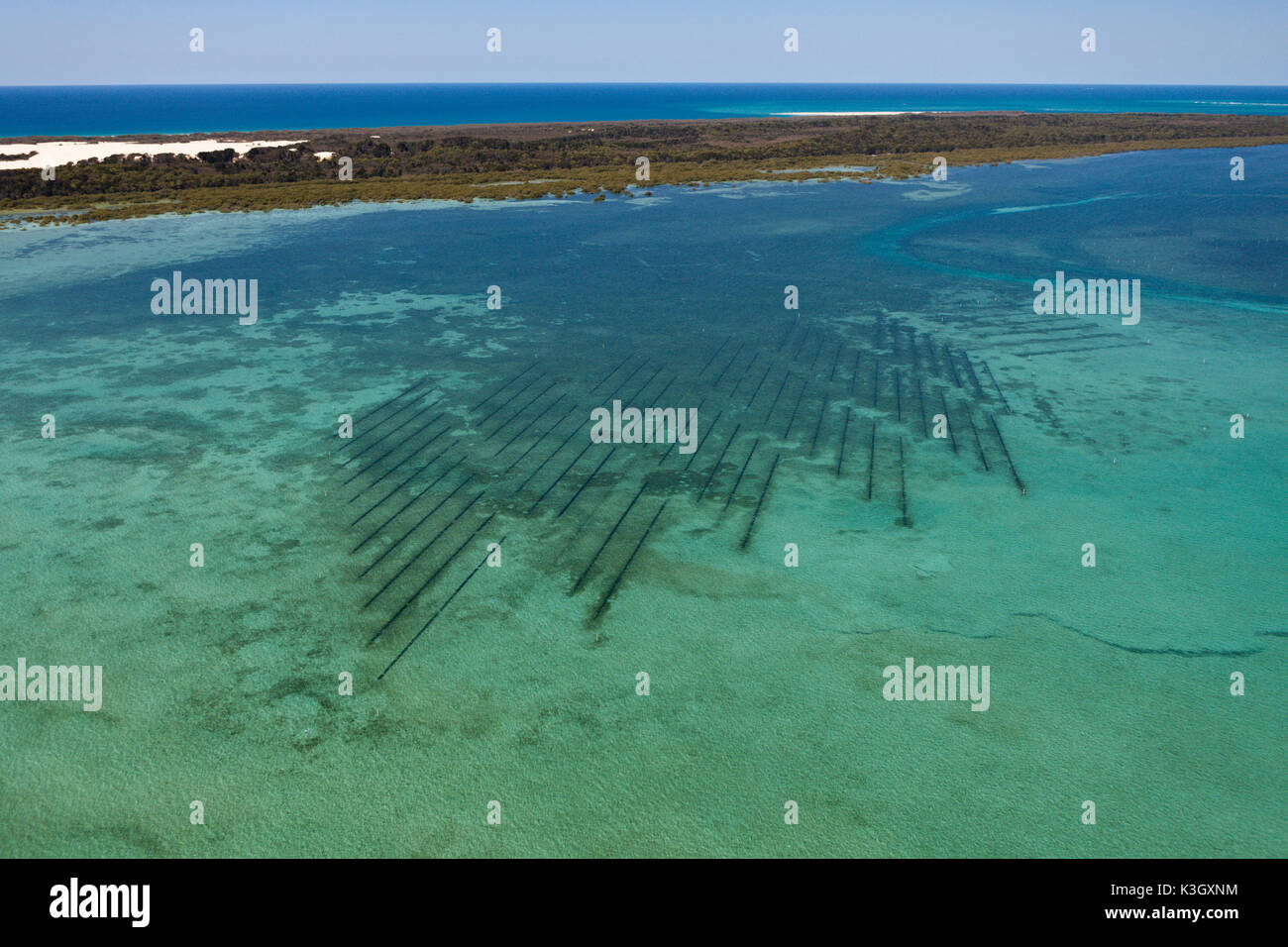 Oyster Farm near Moreton Island, Brisbane, Australia Stock Photo - Alamy