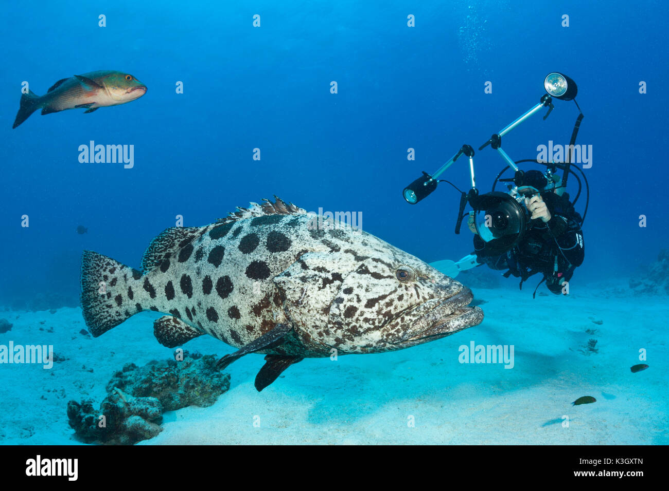 Queensland fotos hi-res stock photography and images - Alamy