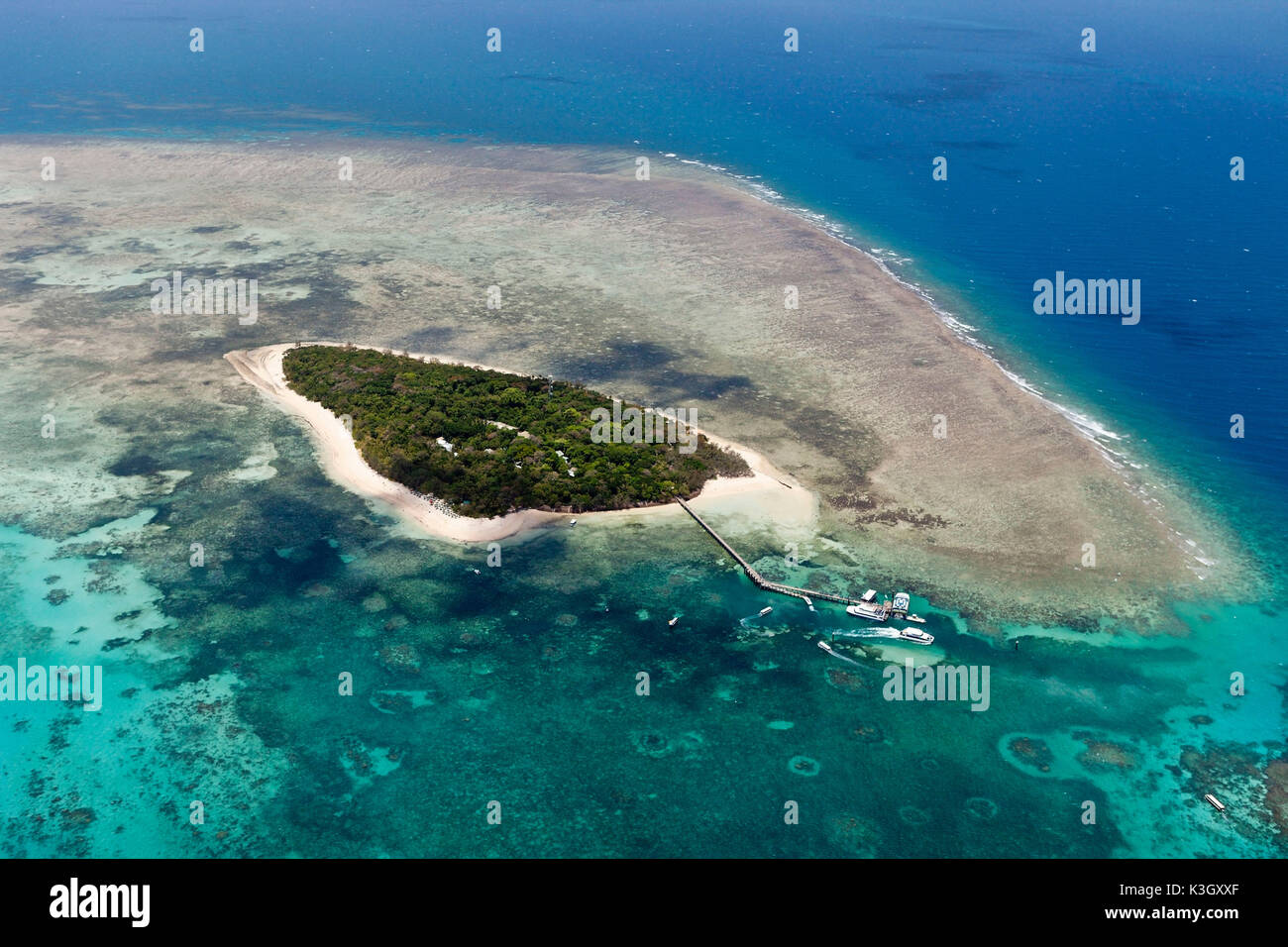green island queensland – green island day tours – SEBEN