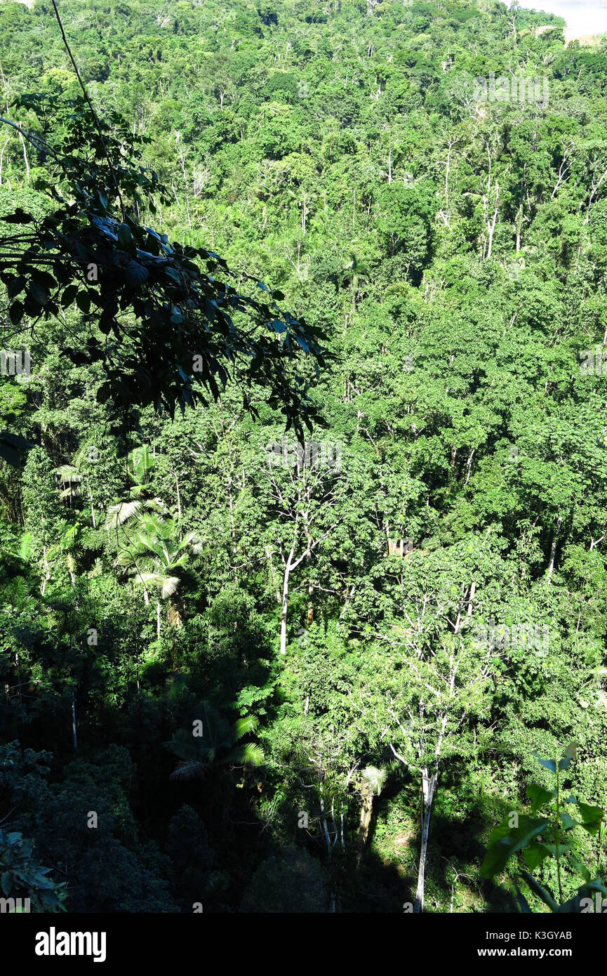 Aerial amazon rainforest bolivia hi-res stock photography and images ...