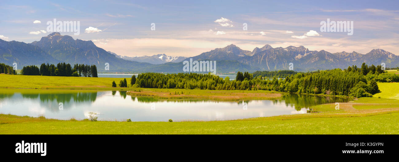Panorama scenery in Bavaria close Forggensee in the Allgäu and the ...