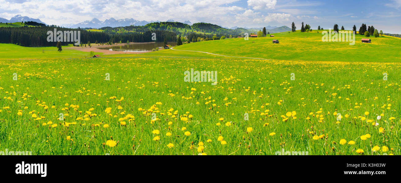 Big scenery hi-res stock photography and images - Alamy