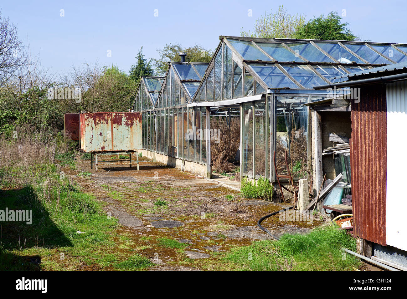 Rundown Kidby Nurseries, Little Clacton, Essex, in a state of decline ...