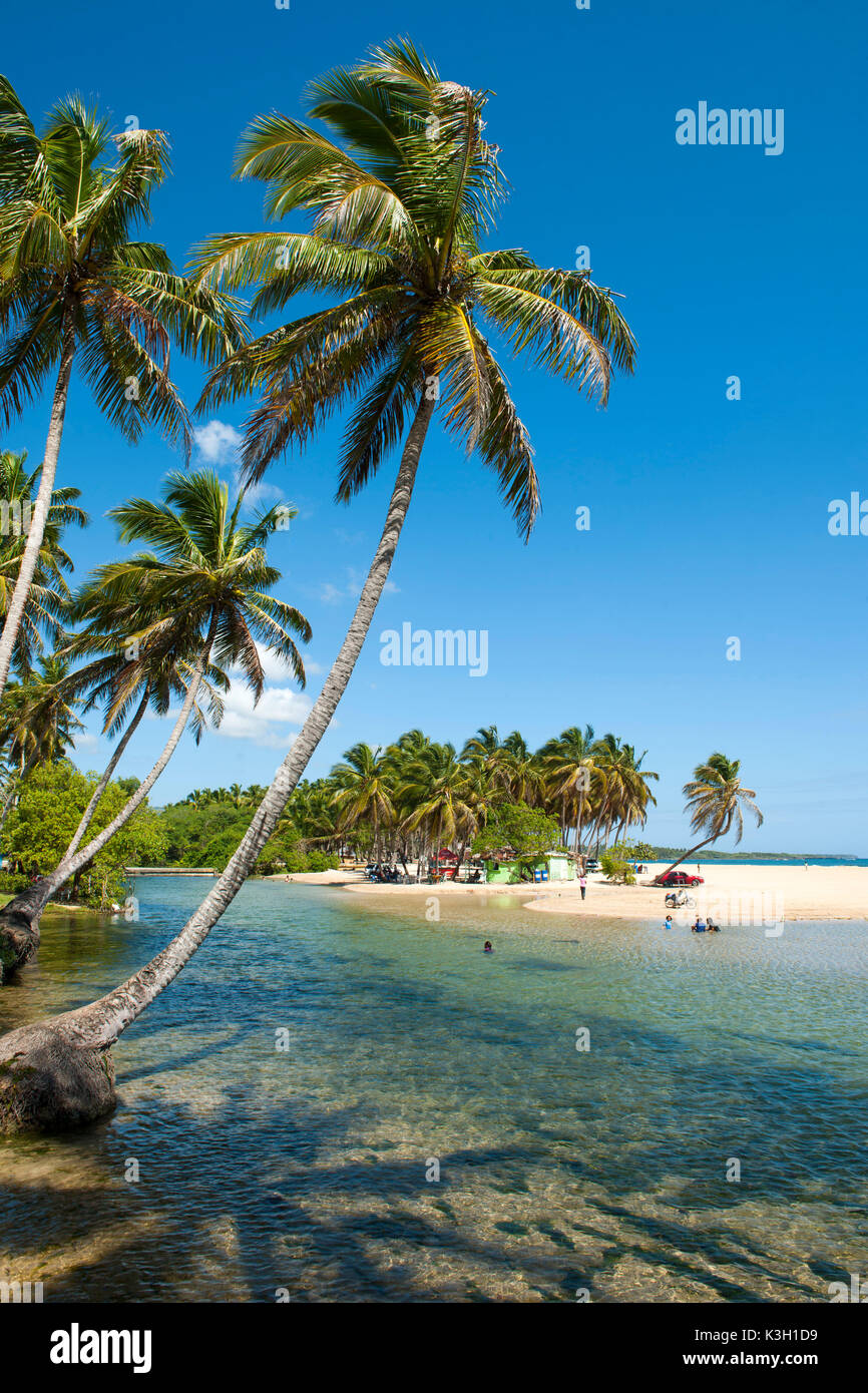 The Dominican Republic, north-east, La Entrada, Playa La Entrada Stock ...