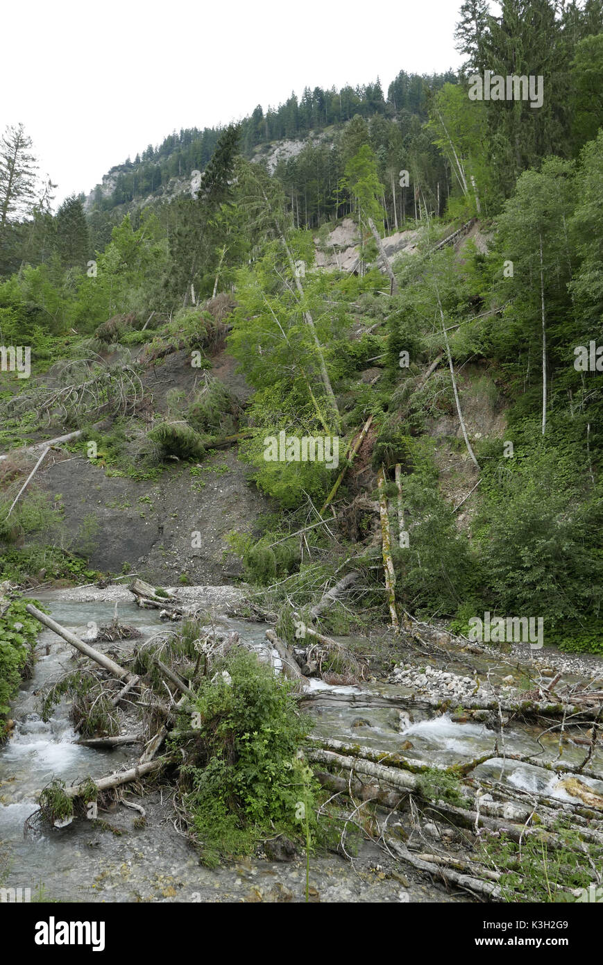 Mudflow hi-res stock photography and images - Alamy