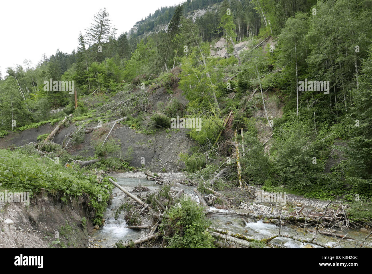 Mudflow hi-res stock photography and images - Alamy