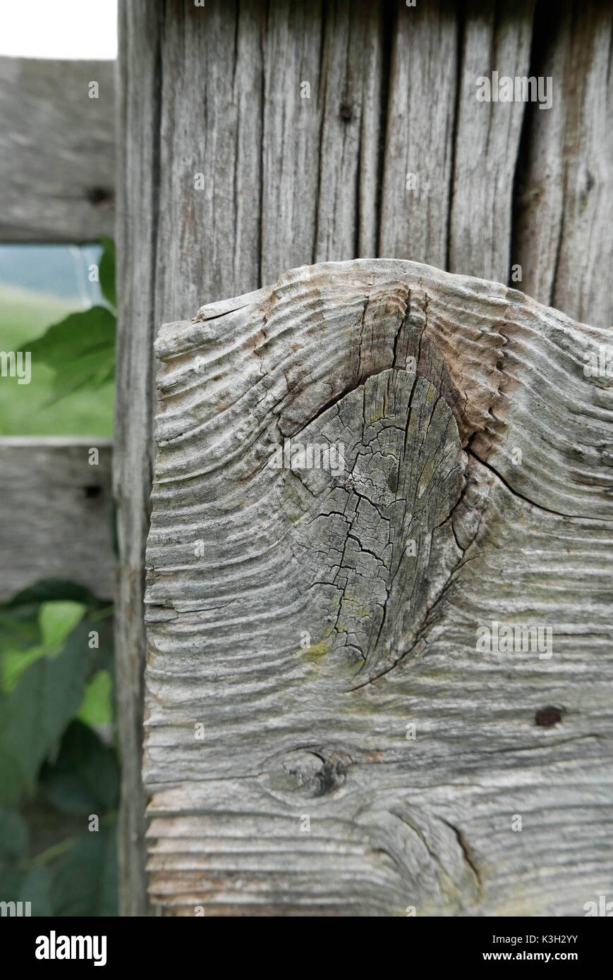 Grain of an old wooden fence, branch eye, Bavaria Stock Photo - Alamy