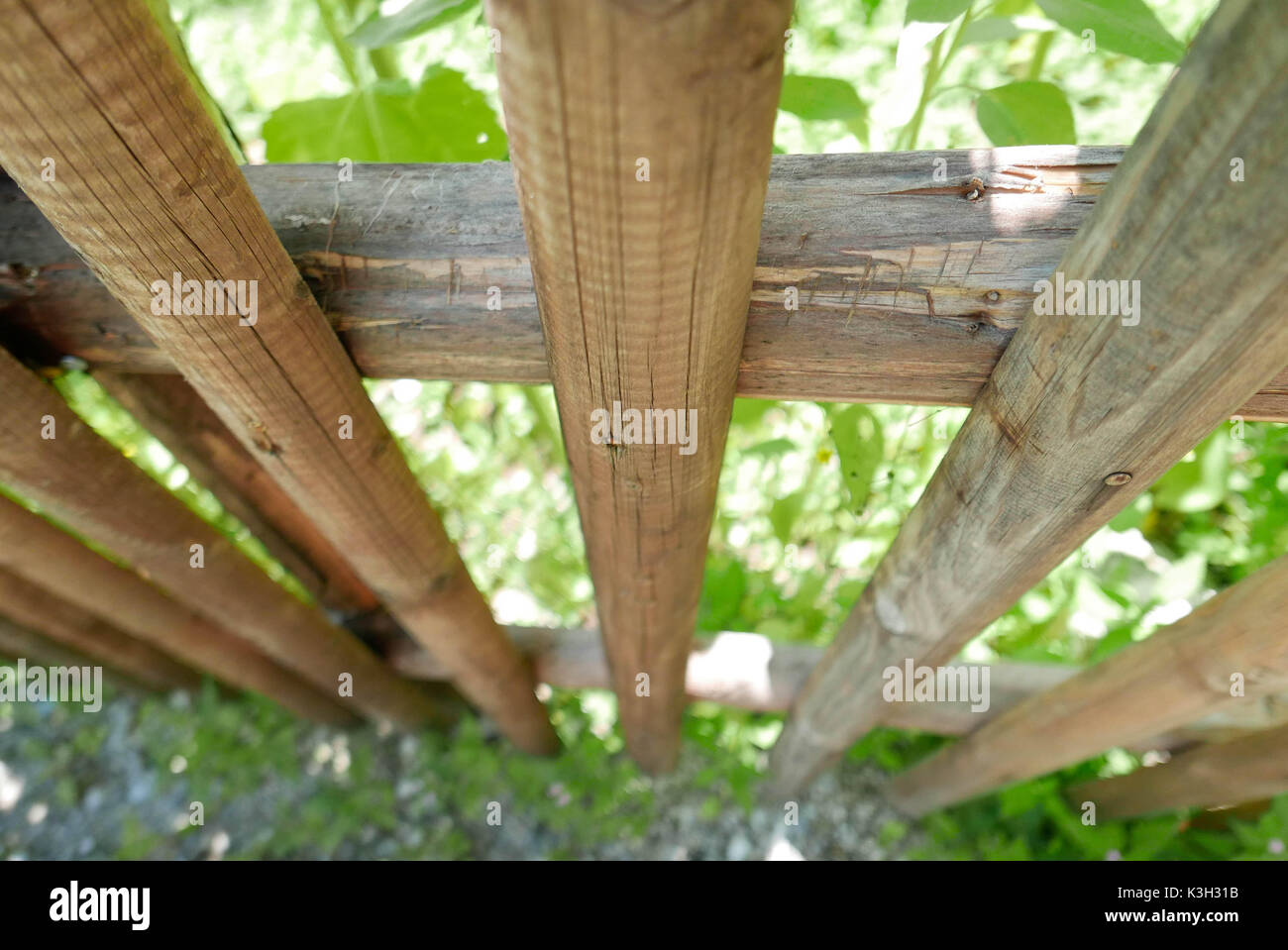 perspective view at wooden fence, detail, sun-filled Stock Photo - Alamy