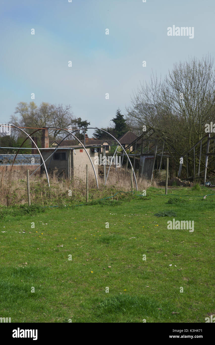 Rundown Kidby Nurseries, Little Clacton, Essex, in a state of decline ...
