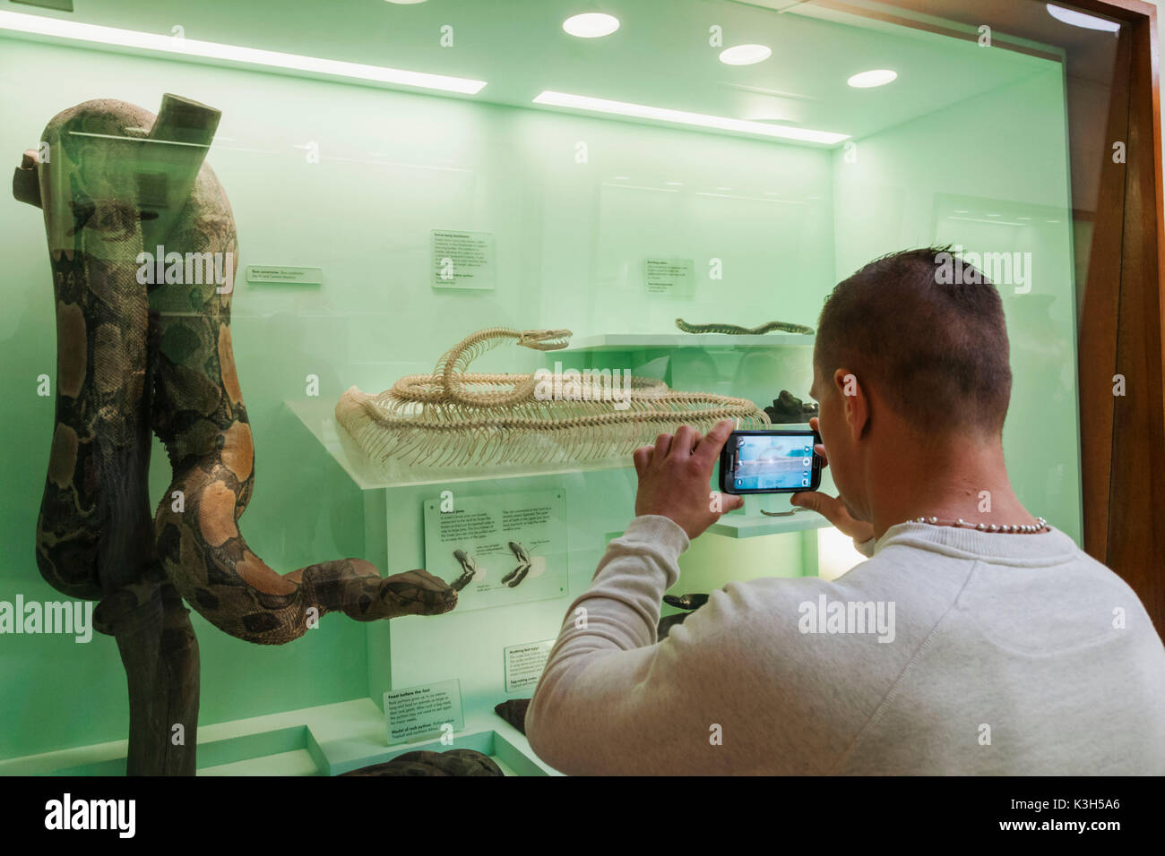 England, London, Kensington, Natural History Museum, Visitor Taking ...