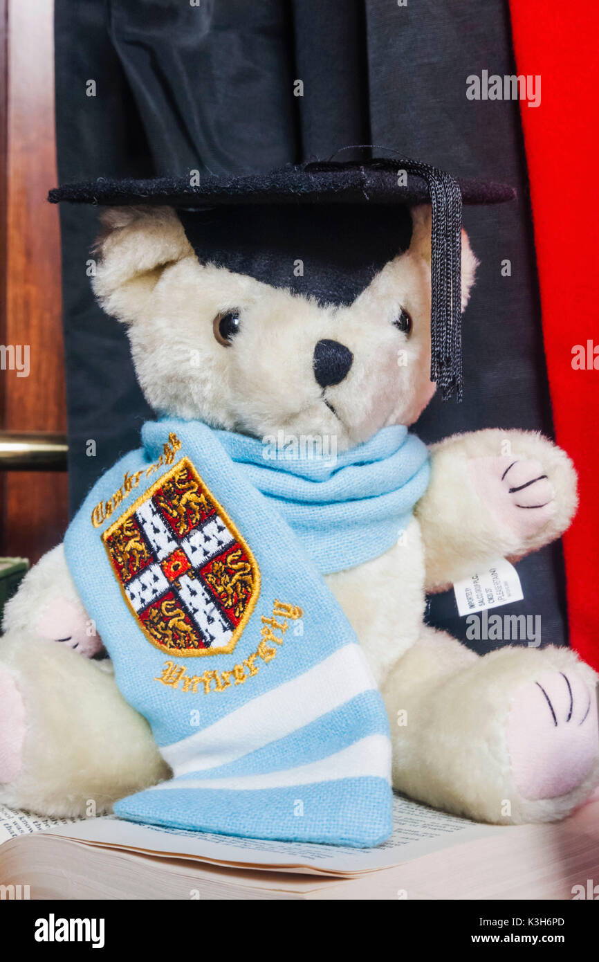 Teddy bear window display hi-res stock photography and images - Alamy