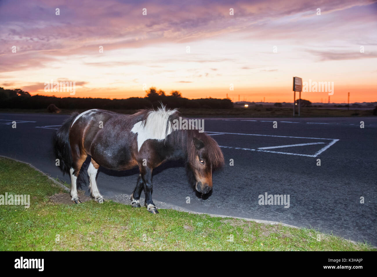 Pony Road High Resolution Stock Photography and Images - Alamy