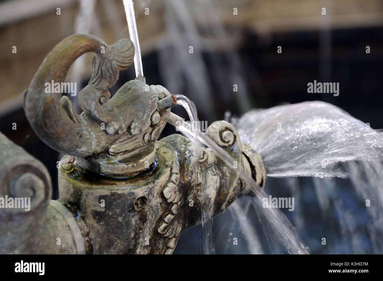 Spitting fish hi-res stock photography and images - Alamy