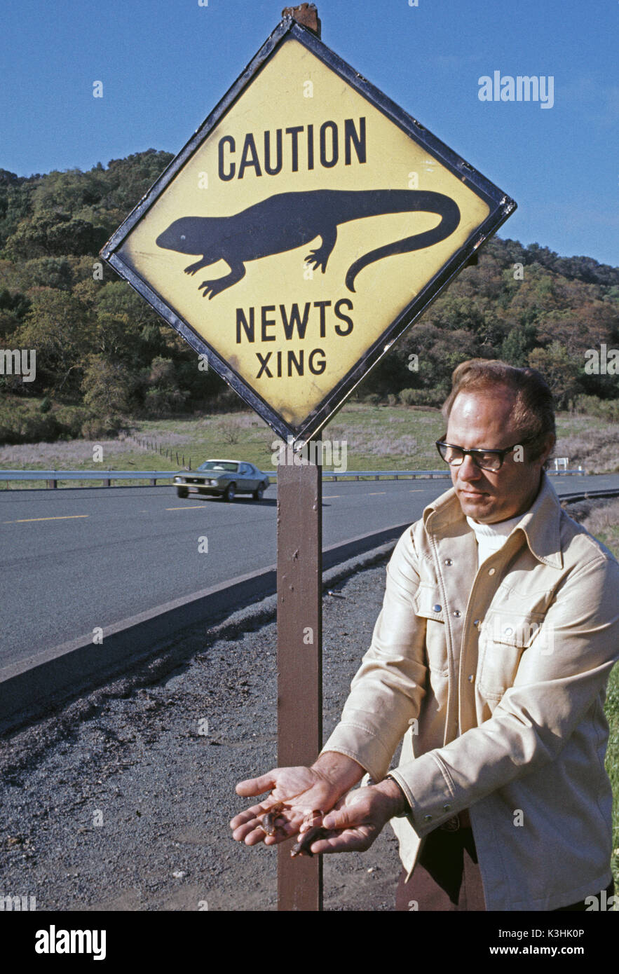Newt crossing hi-res stock photography and images - Alamy