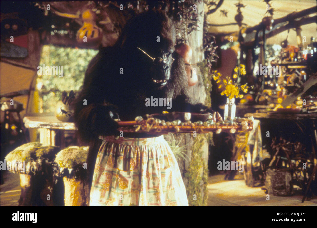 George Of The Jungle 2 Movie