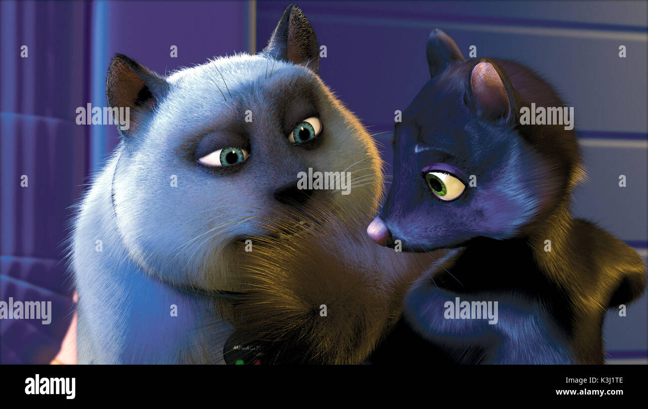 OVER THE HEDGE Date: 2006 Stock Photo - Alamy