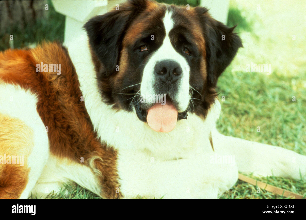Beethoven 1992 hi-res stock photography and images - Alamy