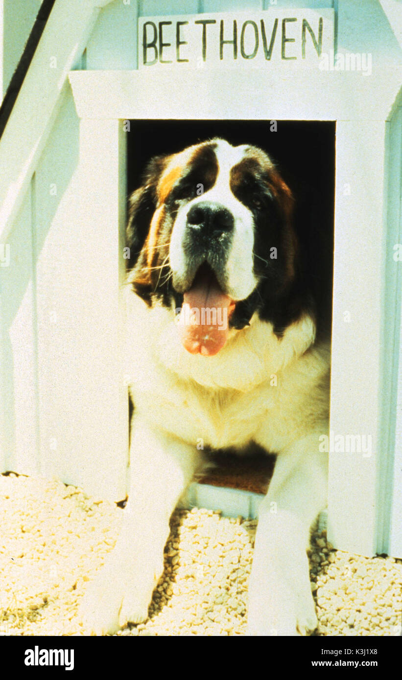 Beethoven The 1992 Movie Starlets