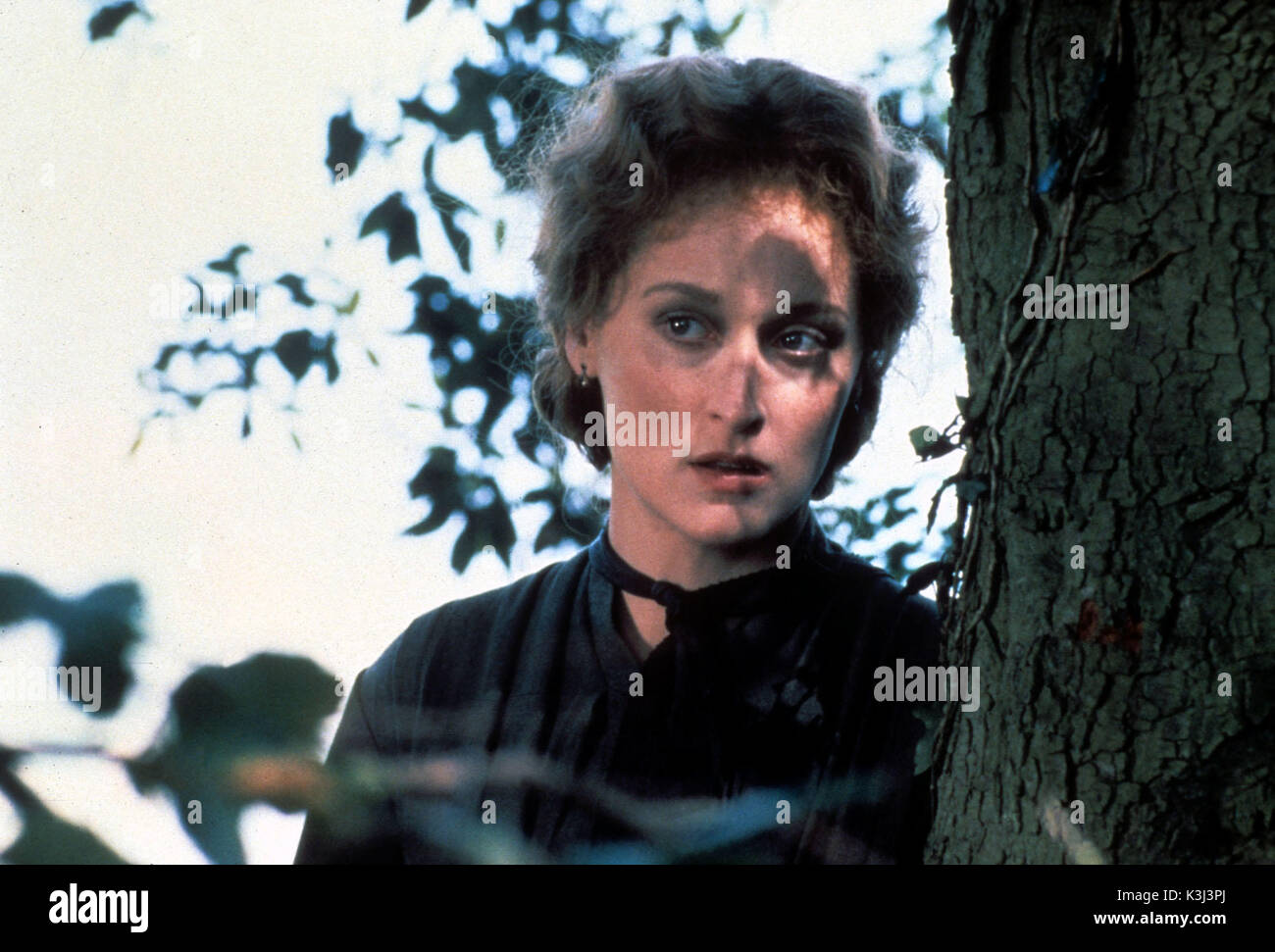 The french lieutenants woman 1981 meryl streep hi-res stock photography ...