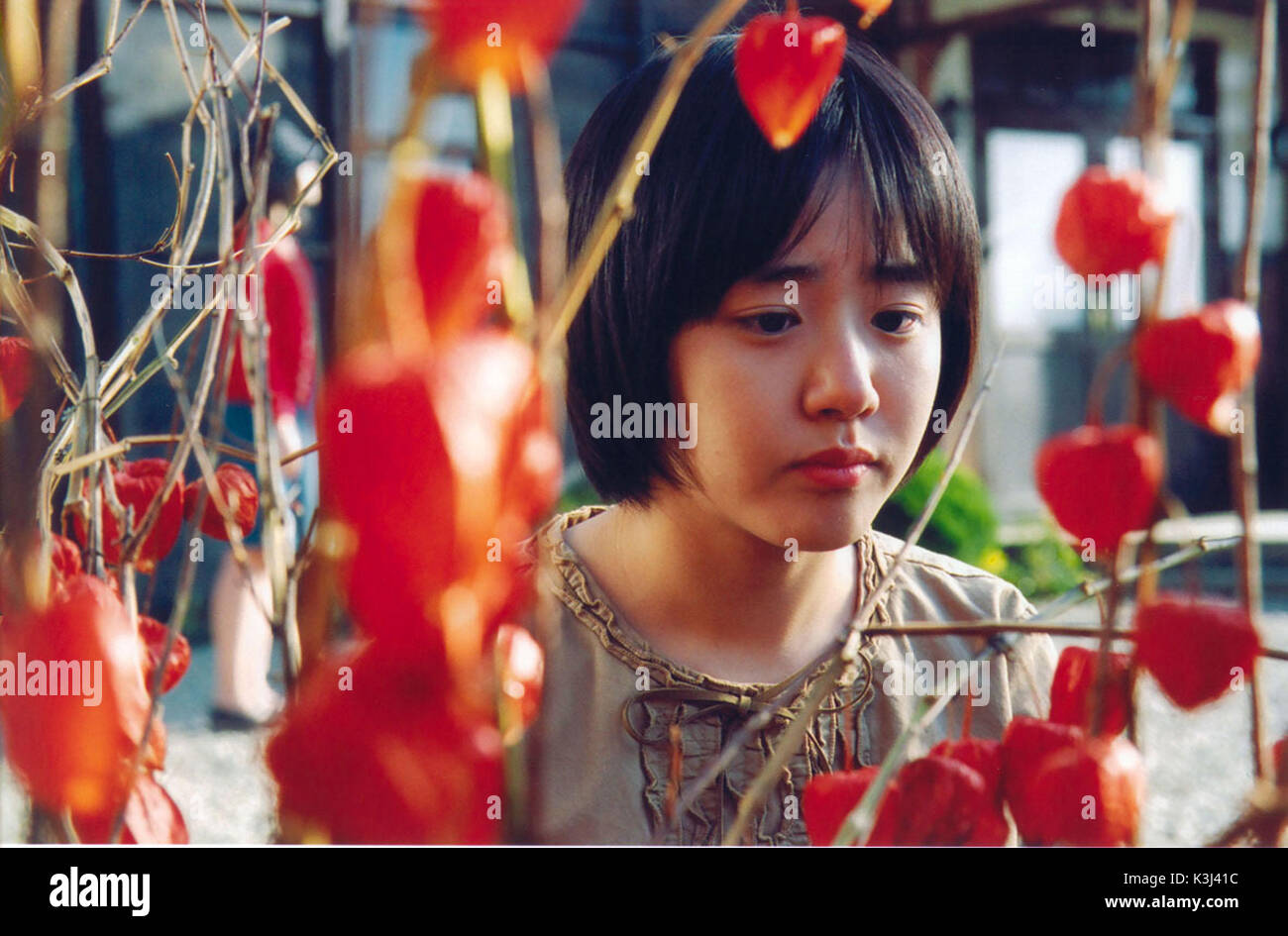 A tale of two sisters, movie hi-res stock photography and images - Alamy