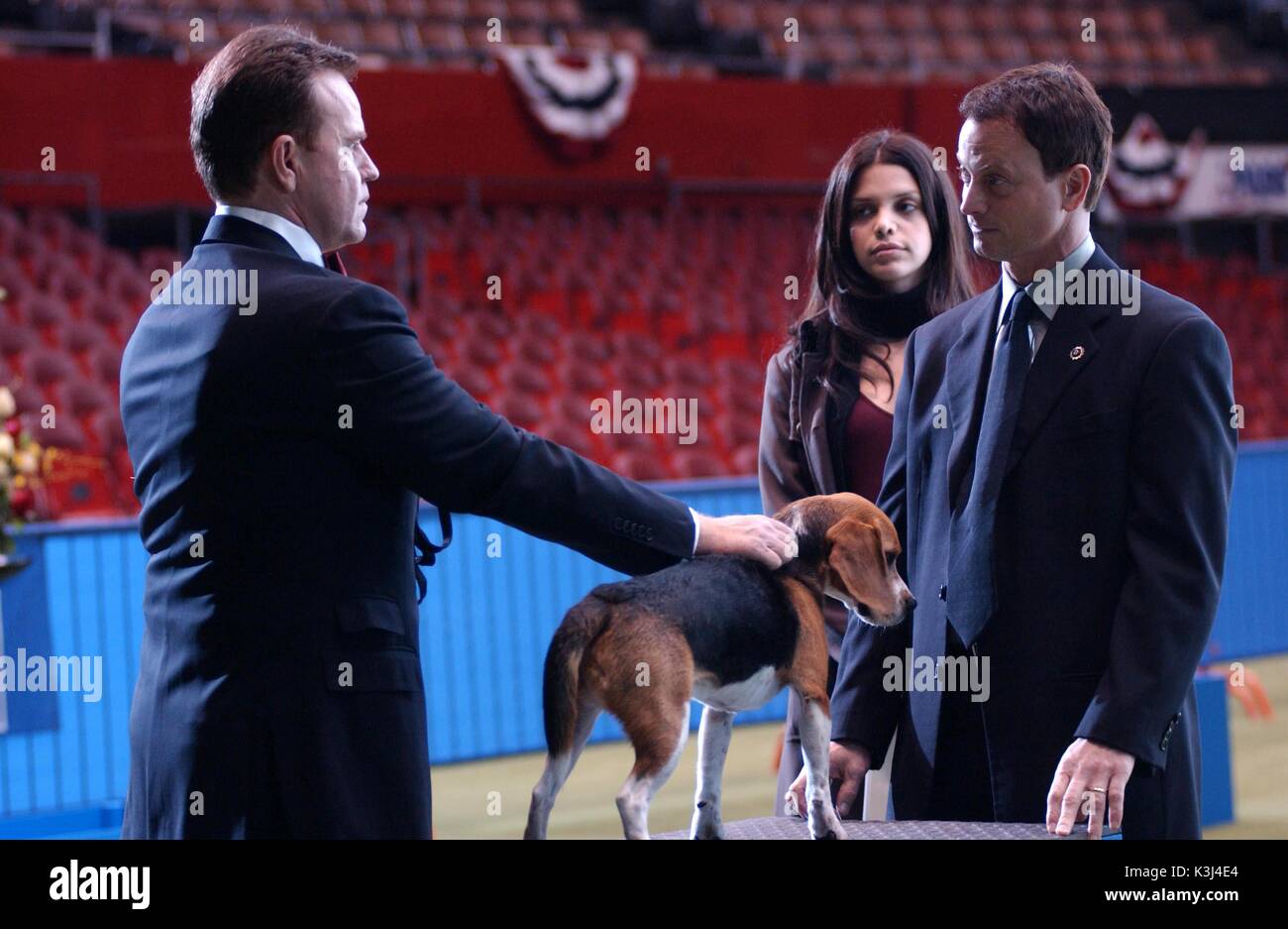 Vanessa ferlito csi hi-res stock photography and images - Alamy