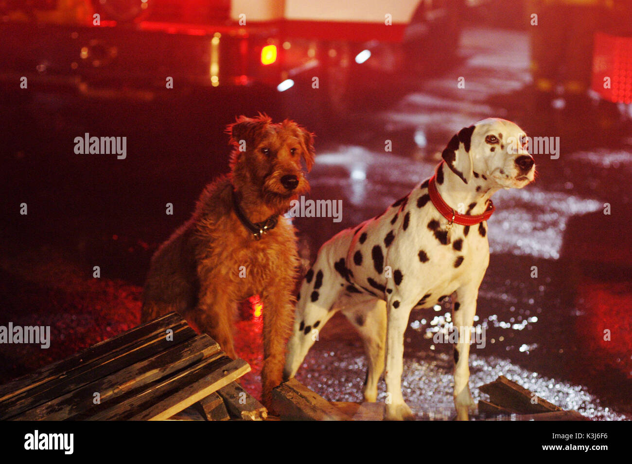 Firehouse Dog Cast