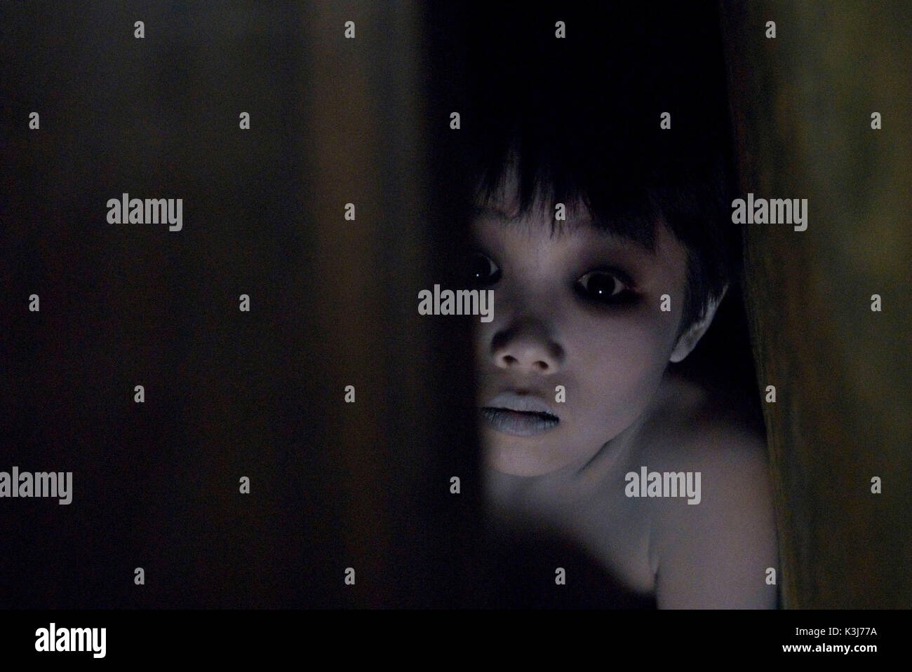 THE GRUDGE 2 OHGA TANAKA is in the closet with Allison. Date: 2006 ...