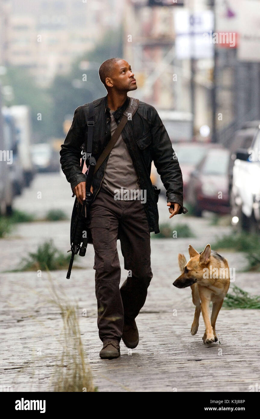 I AM LEGEND WILL SMITH as Robert Neville, KONA / ABBY as Sam I AM ...