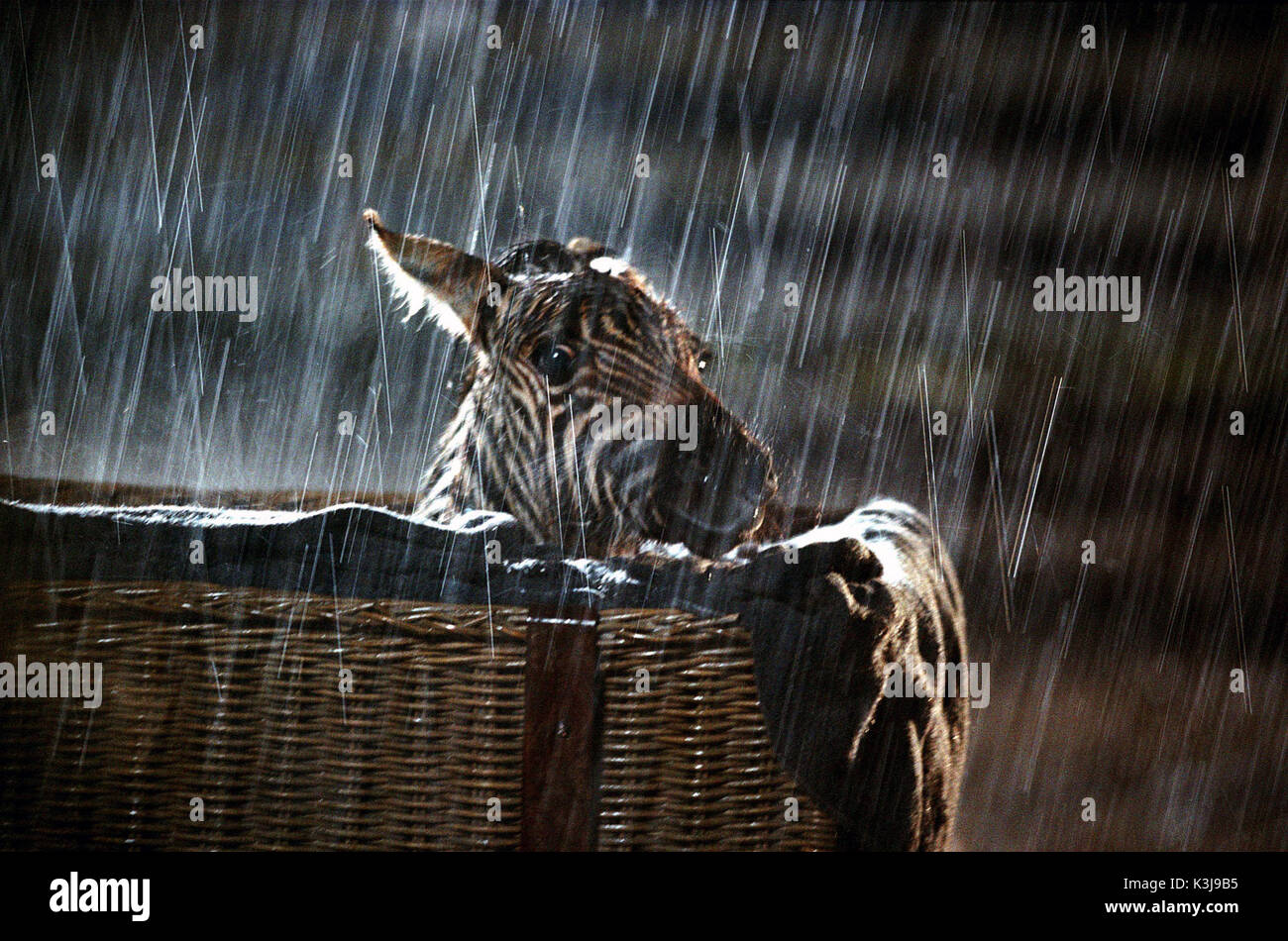 RACING STRIPES Stripes voiced by FRANKIE MUNIZ RACING STRIPES Date ...