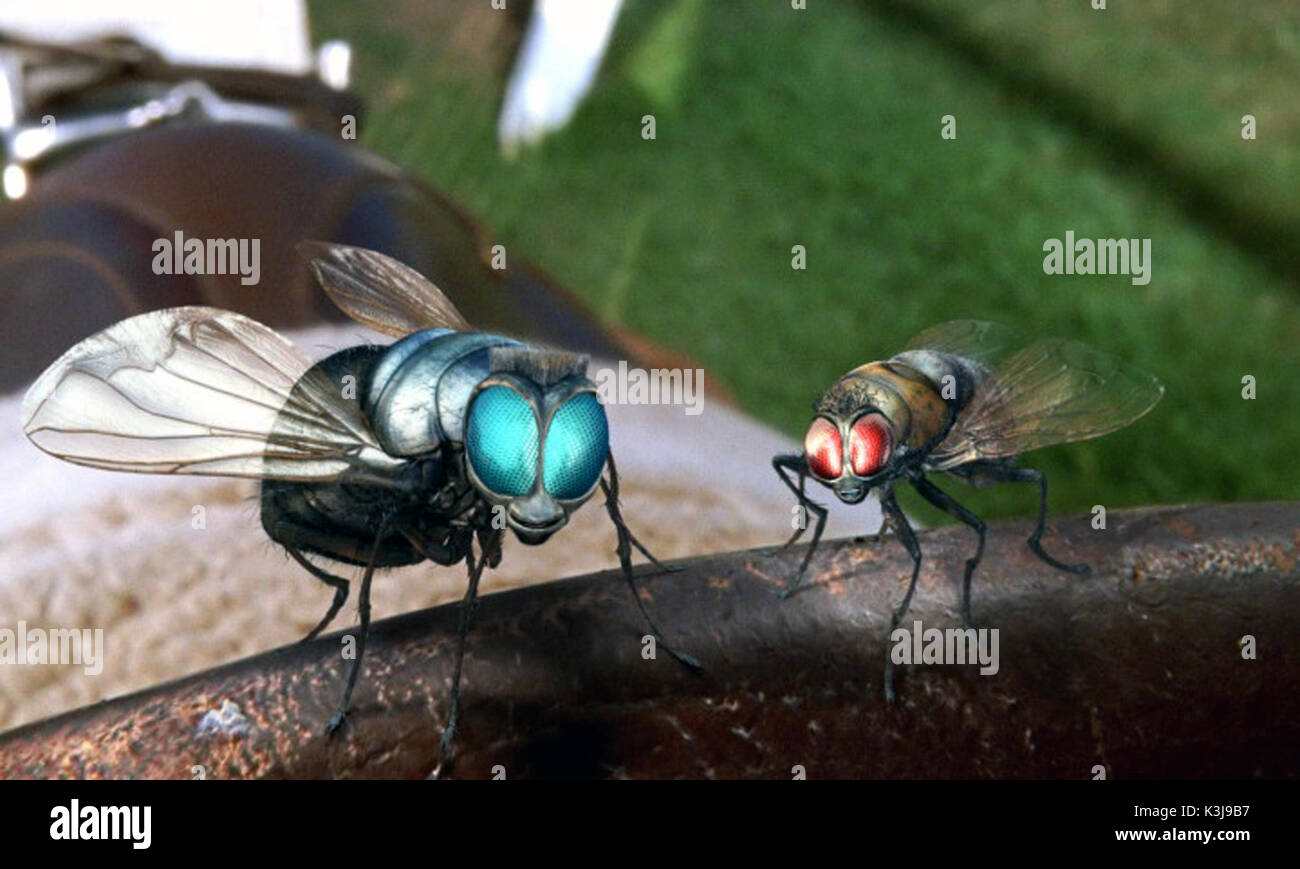 RACING STRIPES Buzz voiced by STEVE HARVEY, Scuzz voiced by DAVID SPADE ...