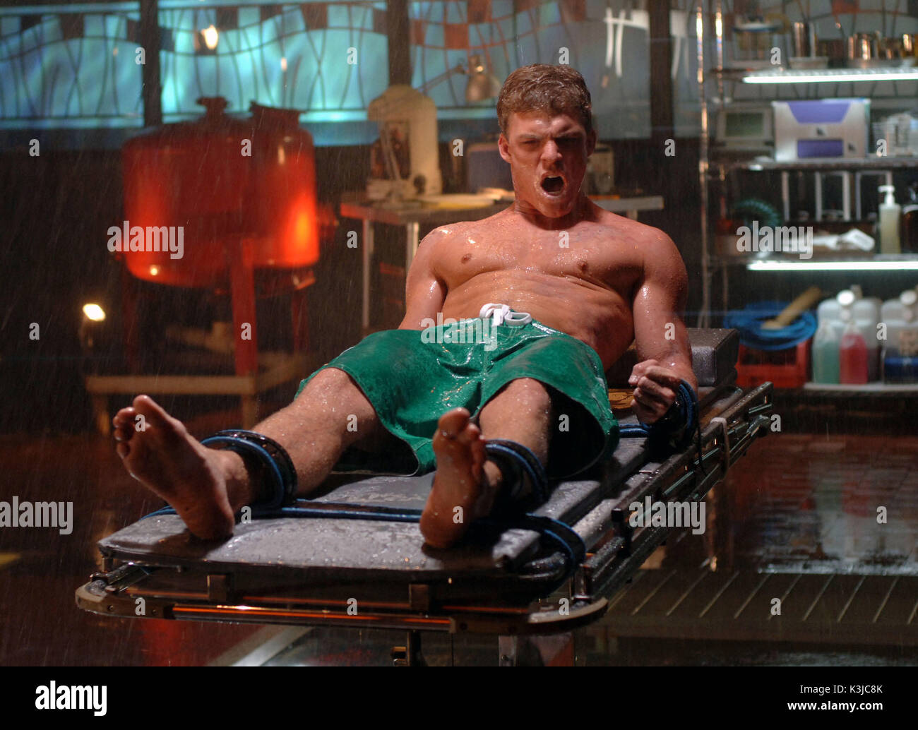 Ritchson hi-res stock photography and images - Alamy